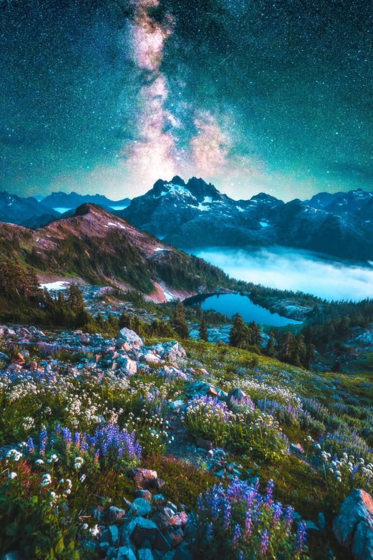 Top 10 landscape photographers in 2024 | Arts Fiesta